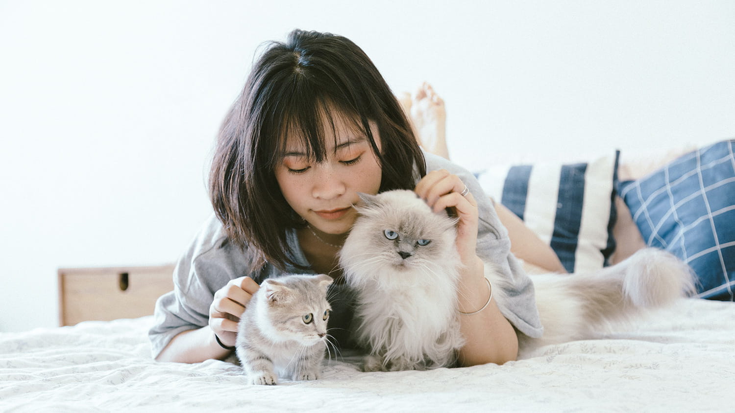 Veterinary Compounding: Tailored Medications for Your Pet’s Unique ...